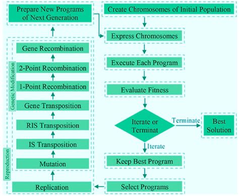 The Flowchart Of Gene Expression Programming Download Scientific Diagram