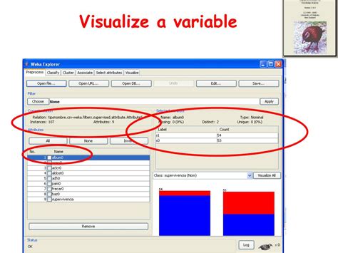 PPT Weka PowerPoint Presentation Free Download ID 6347620