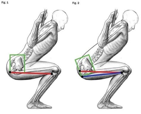 Hamstring Length And Lower Back Pain What You Need To Know — Kru