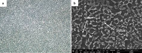 As Received αβ Equiaxed Microstructure Of Tc21 Ti Alloy A Optical Download Scientific