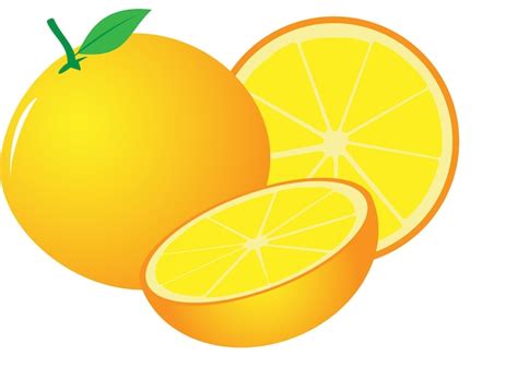 레몬의 그림 프리미엄 벡터