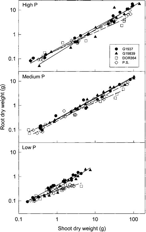 Allometric Relationships Between The Root Dry Weight Log Scale And Download Scientific