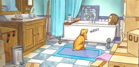 Magasin Sexuel Turf Le Tourne Page Le Tourne Page