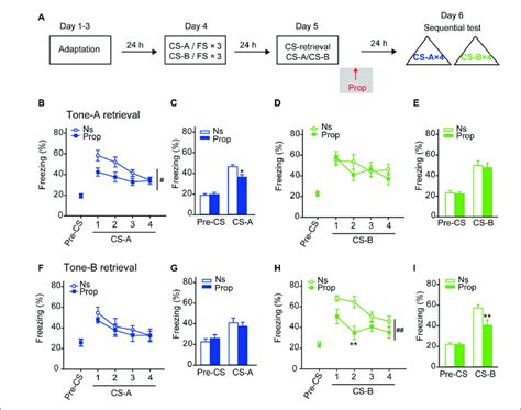 Propranolol Treatment After Cs Retrieval Disrupted Fear Memory