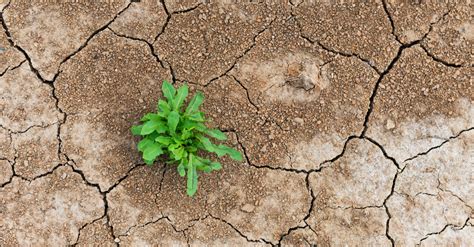 The Damage Done Sex And Relationship Healing