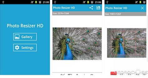 Cómo Redimensionar Imágenes De Forma Masiva En Android