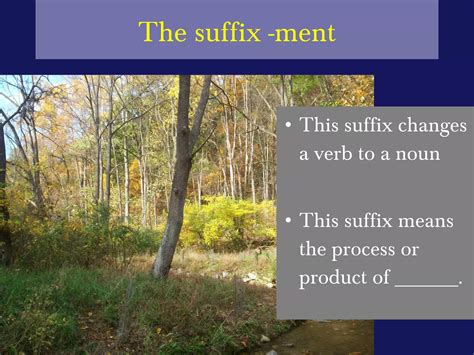 Noun Forming Suffixes Ment And Ness PPT