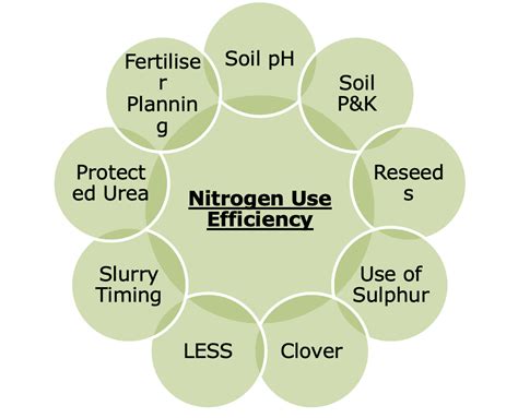 Uses Of Nitrogen