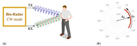 Remote Sensing Free Full Text Dynamic Digital Signal Processing Algorithm For Vital Signs