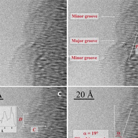 How To Get Rid Of Primer Dimer Formation During Pcr Researchgate