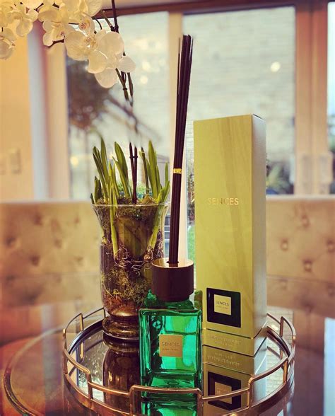 Green Large Citrus Verbena Reed Diffuser 500ml Ls Interiors