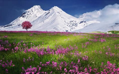 第四章pandas统计分析基础 知乎