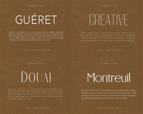 Modern Thin Sans Serif Fonts Bundle Delicate Thin Sans Serif Font OTF Crafting Fonts Wedding