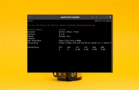 Как пользоваться Ngrok Losst