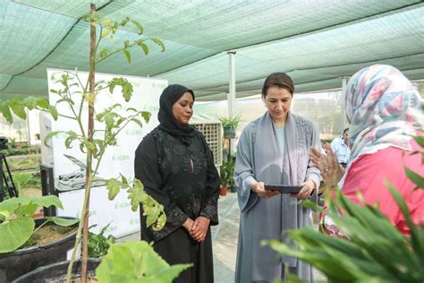 New Ai Powered Mobile App To Detect Crop Disorders