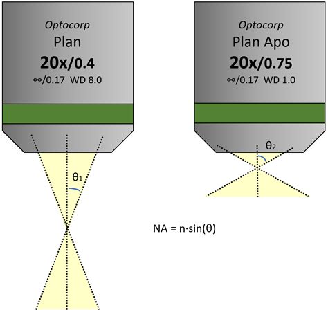 Making Sense Of The Fine Details Bliq Photonics