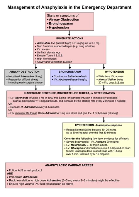 Acls Algorithms Review Acute Coronary Syndromes Algorithm Artofit Acls Algorithms Review Acute Coronary Syndromes Algorithm Artofit