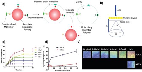 Molecularly Imprinted Colloidal Array Antibiotic Sensor A Fabrication Download Scientific