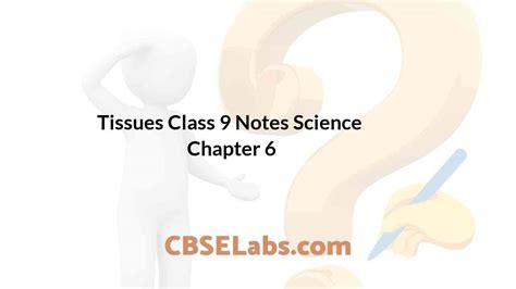 Tissues Class Notes Science Chapter CBSE Labs