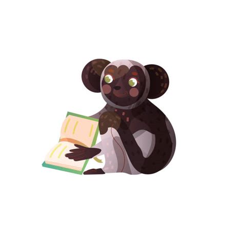 110 Indri Stock Illustrations Royalty Free Vector Graphics And Clip Art Istock