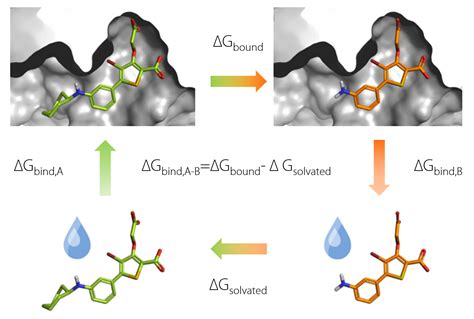 在线研讨会 你为什么还自己进行FEP计算呢FEP计算外包的案例介绍