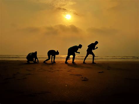 Understanding Population Genetics Evolution Through Allele Frequency Dynamics And Drift