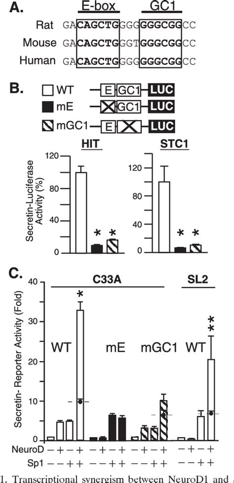 Figure 1 From Leiter Sp 1 With The Secretin Gene Enhancer Factor Neurod