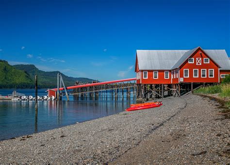 Culinary Excursions In Icy Strait Point Alaska