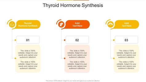 Thyroid Hormone Synthesis In Powerpoint And Google Slides Cpb
