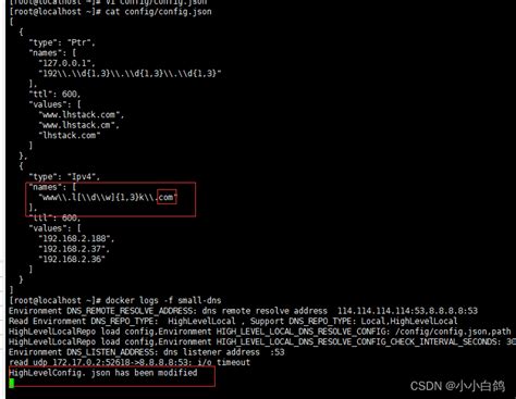 使用docker搭建dns服务器 Docker Dns Csdn博客