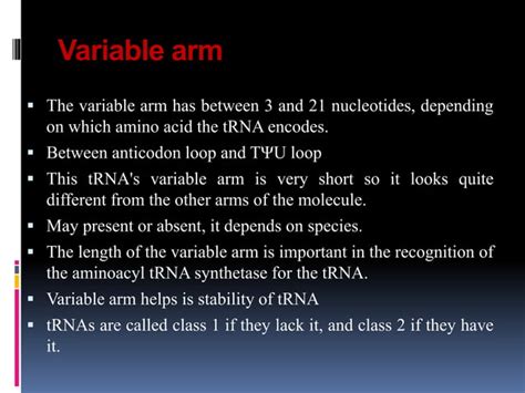 TRNA Structure And Function PPTX