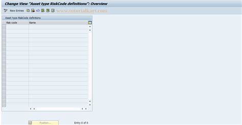 Cmscus03 Sap Tcode Risk Codes
