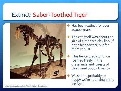 Ppt 9 Evolution Theories Powerpoint Presentation Free Download Id