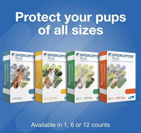 Interceptor Plus Chew For Dogs 251 50 Lbs Yellow Box Easy