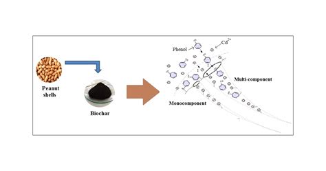 Modeling Mono And Multicomponent Adsorption Of Phenol And Cadmium From Aqueous Solution By
