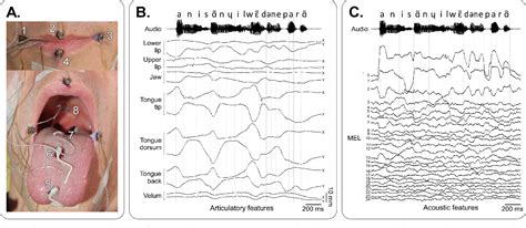 Figure 2 From Real Time Control Of An Articulatory Based Speech Synthesizer For Brain Computer