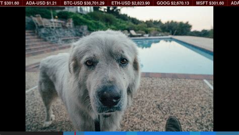 Pidisplay For That Pi And Lcd You Have Hanging Around On Your Desk