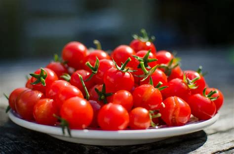 How To Freeze Cherry Tomatoes