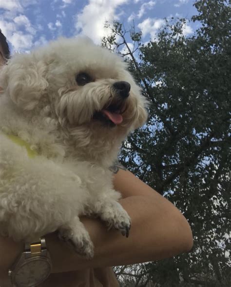 Any Name For This Nice Face 😍 ️ 9gag