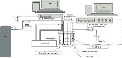 Numerical Simulation Setup Download Scientific Diagram