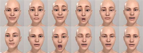 Morph Target Cheat Sheet