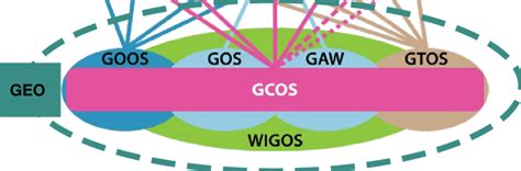 The Gcos Framework And Linkages With Other International Institutions