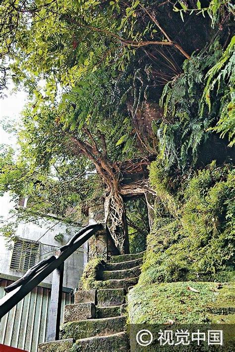 香港石碇古驛 百年吊腳樓 每日頭條