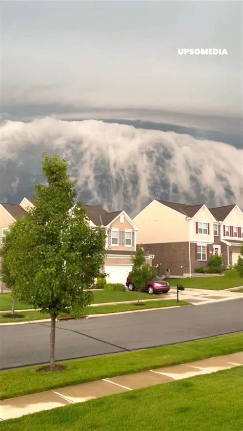 침팬지 무리가 남자의 의족을 보고는 매우 큰 충격을 받았습니다 침팬지 한 마리가 이 남자가 보여준 것을 보고는 정신이 멍해지는 걸 경험했습니다 너무나 놀란 나머지 이