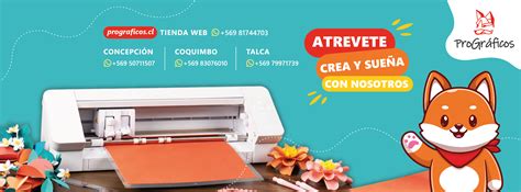 Graphic Tree Graphic Tree Added A New Photo — In El