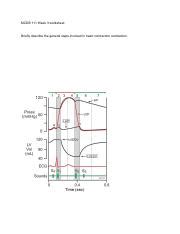 Week 3 Section Questions Mcdb 111 Pdf MCDB 111 Week 3 Worksheet Briefly Describe The General