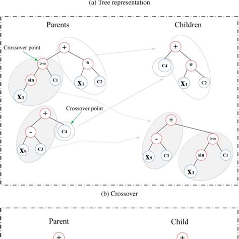 The Tree Representation And The Crossovermutation Operators Of Gp The