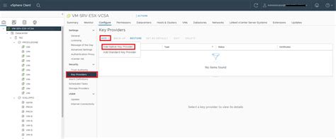 Abilitazione E Configurazione Del VTPM Su VmWare ESXi X RaffaeleChiatto Com