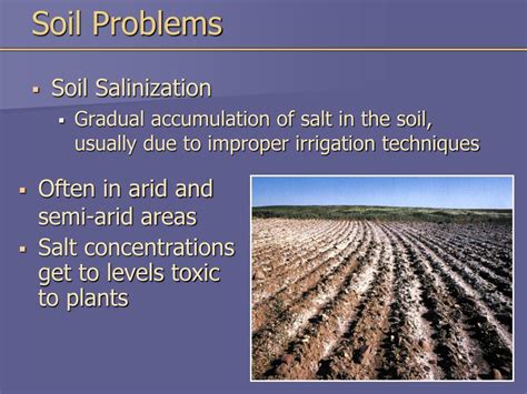 PPT Chapter Soil Resources PowerPoint Presentation Free Download ID